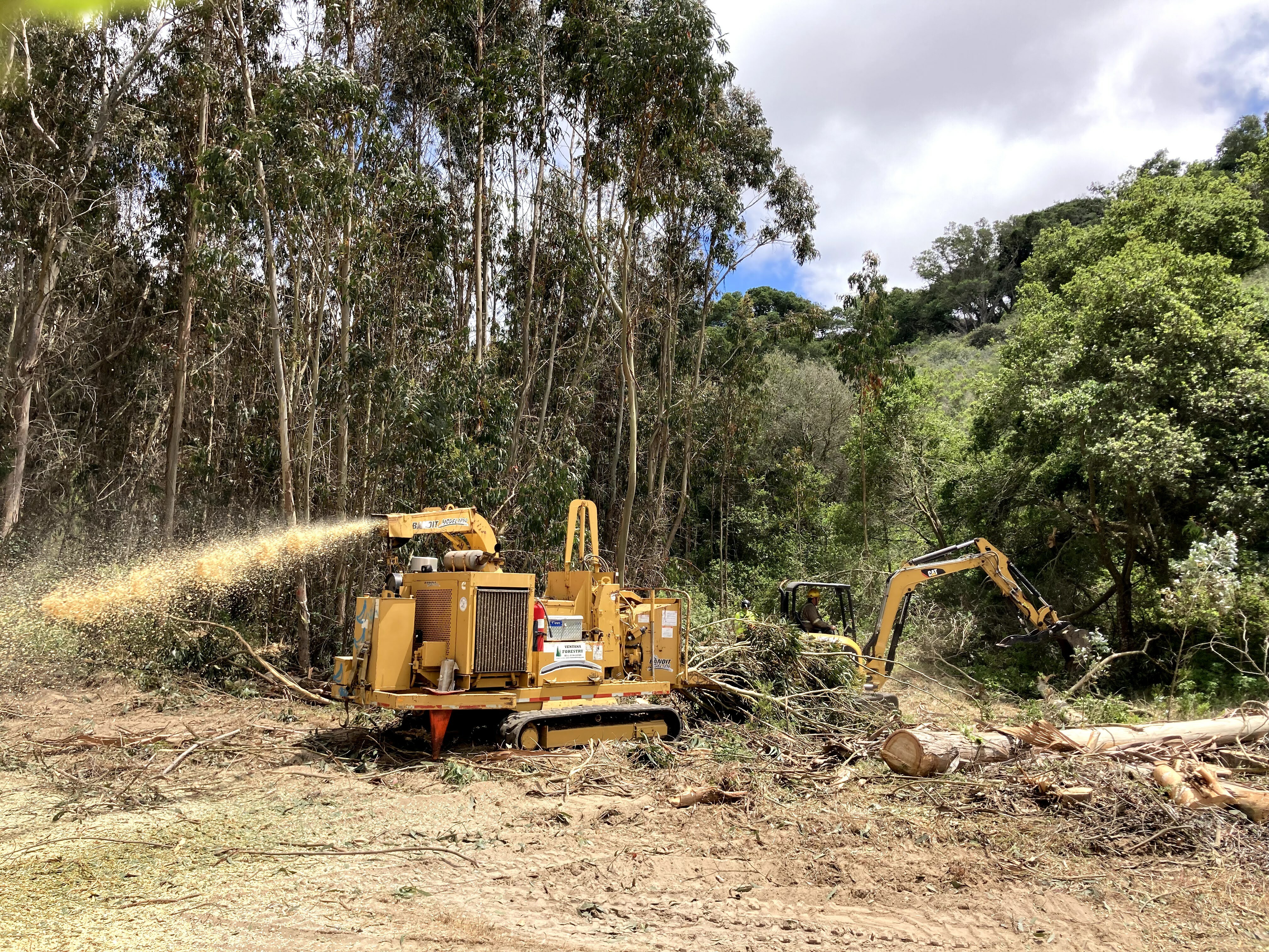 Setting Fire to the Land | Elkhorn Slough