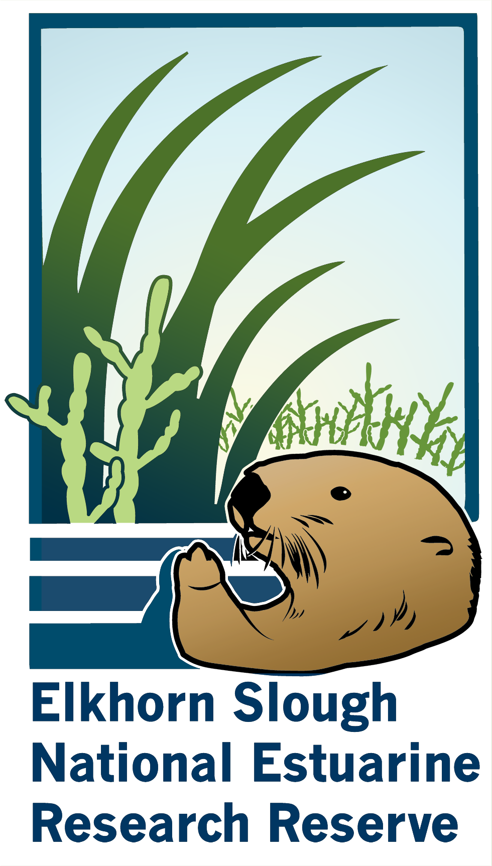 What is Elkhorn Slough?