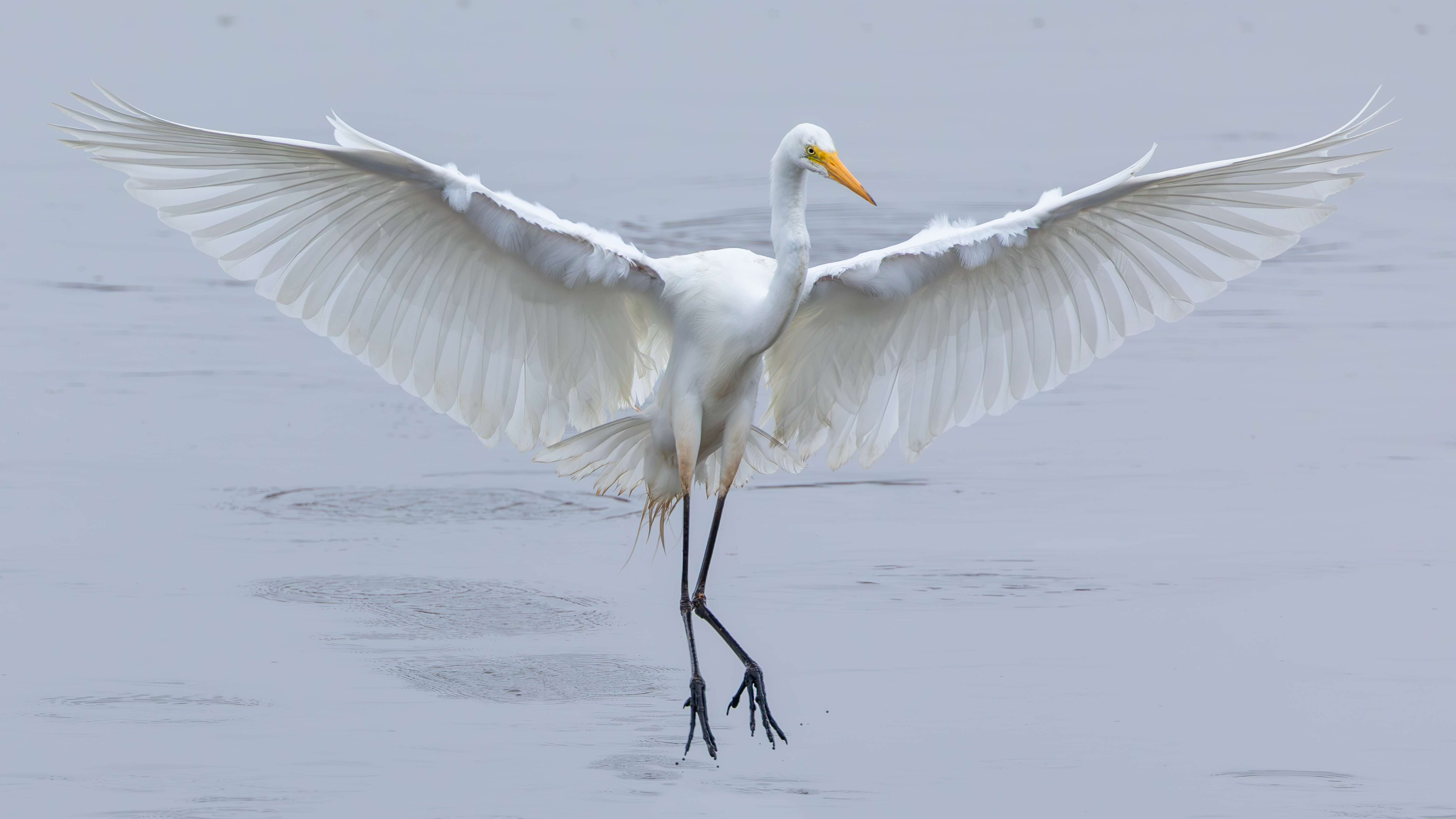 Edges | Elkhorn Slough