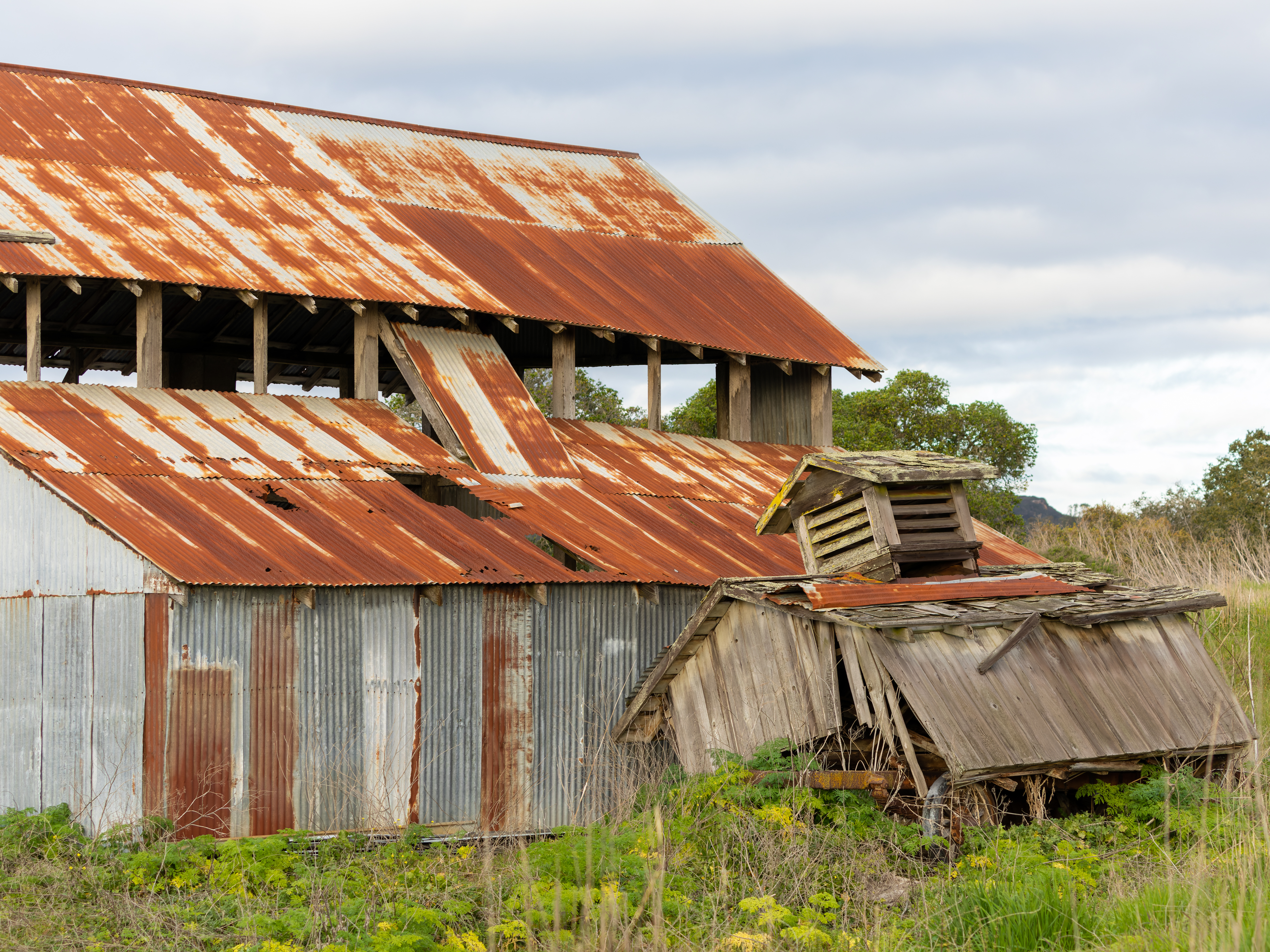 Edges | Elkhorn Slough