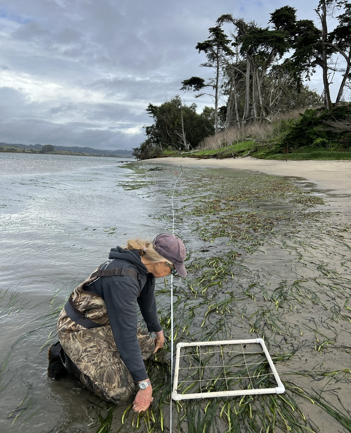 Knee Deep in Mud | Elkhorn Slough