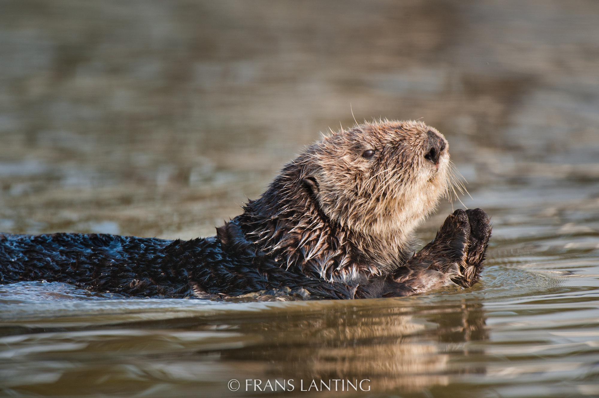 What is Elkhorn Slough?