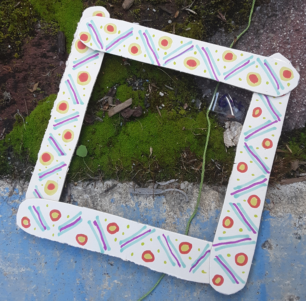 Science Craft Challenge: Biodiversity Tools - Elkhorn Slough