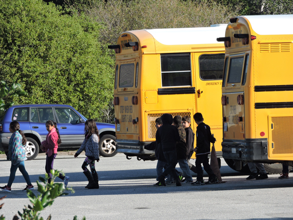 Virtual and In-person Field Trip Resources | Elkhorn Slough